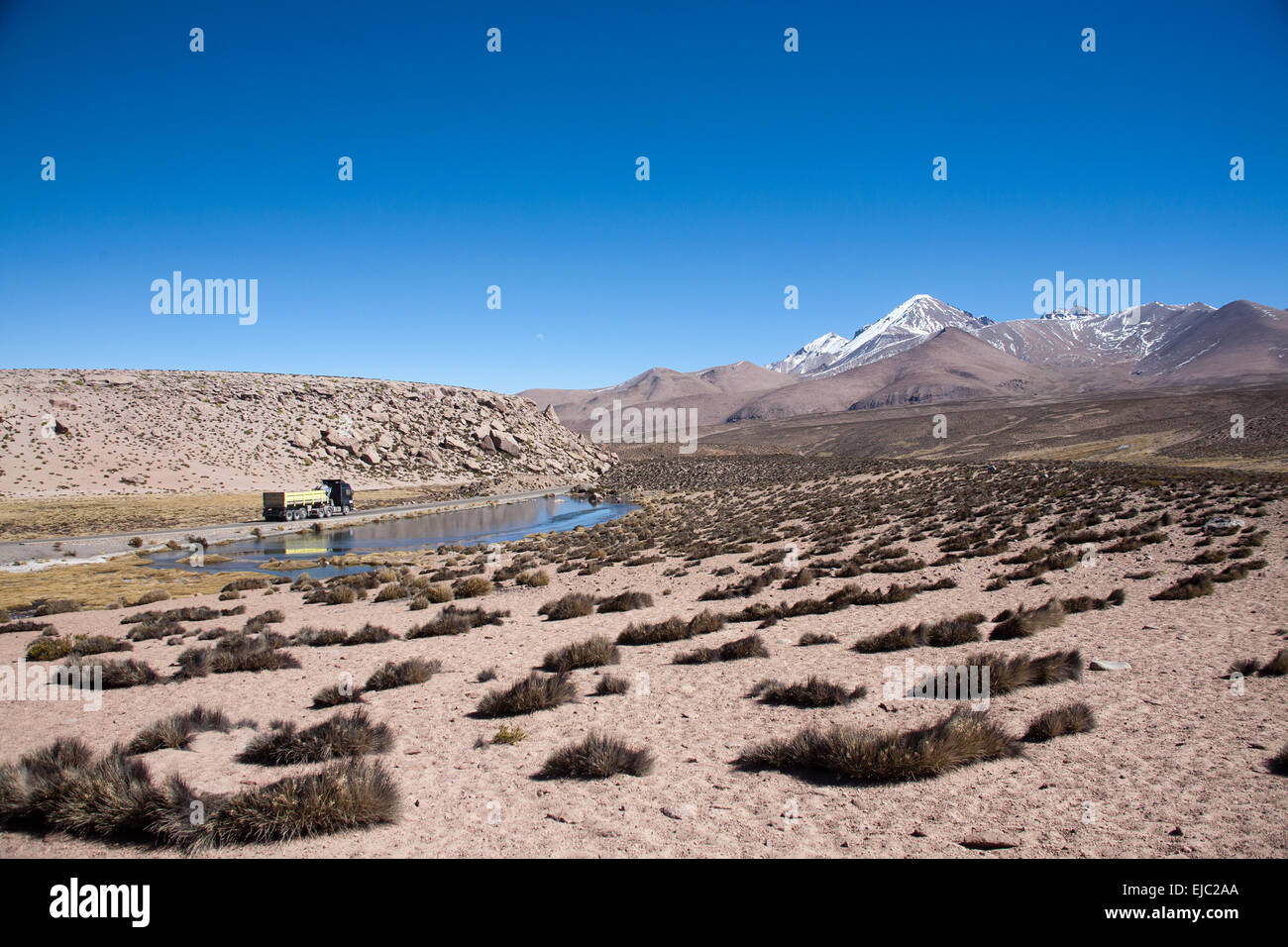 Altiplano hochebene hi-res stock photography and images - Alamy