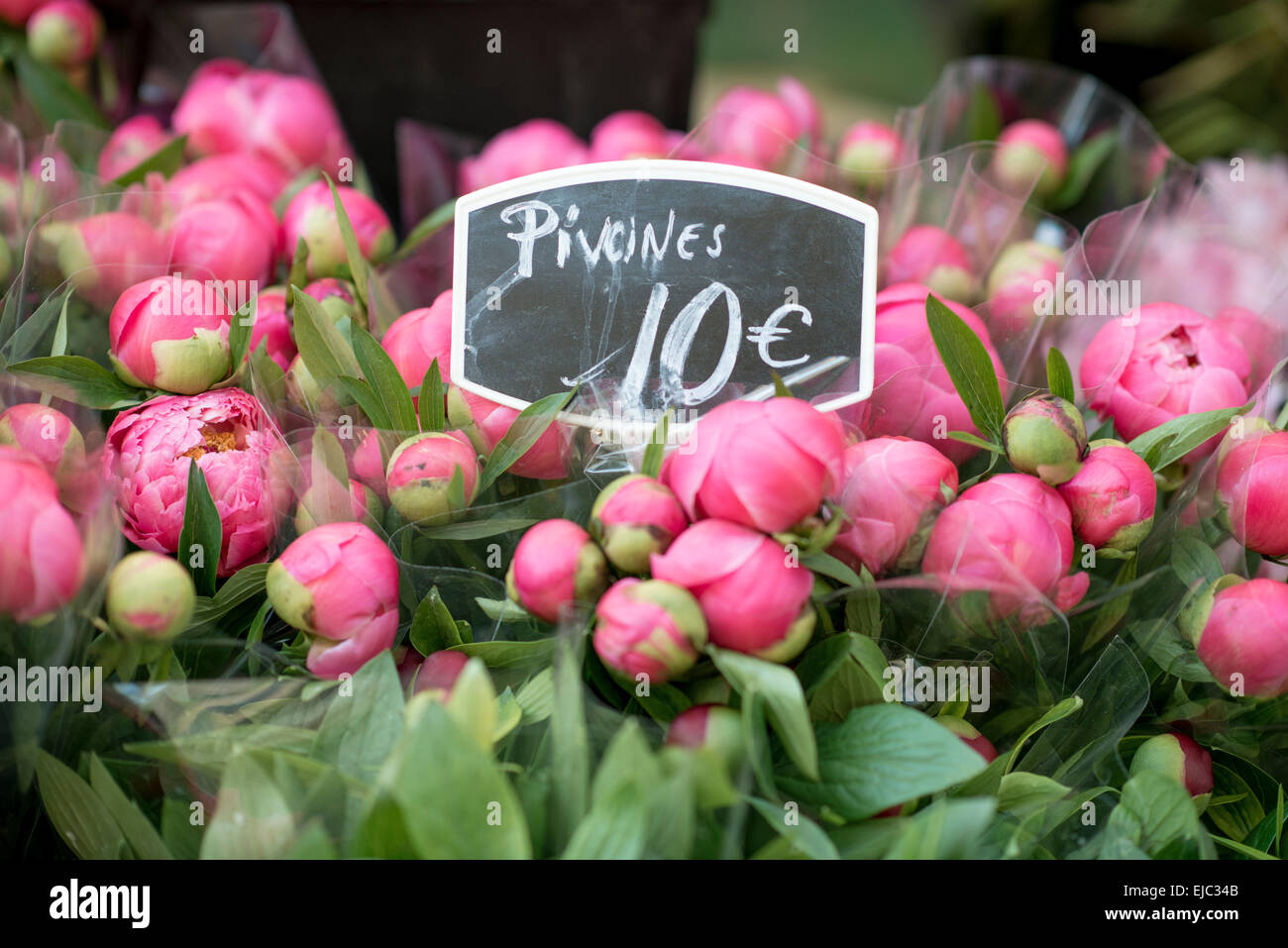 Peonies for sale at outdoor market, Paris, France Stock Photo - Alamy