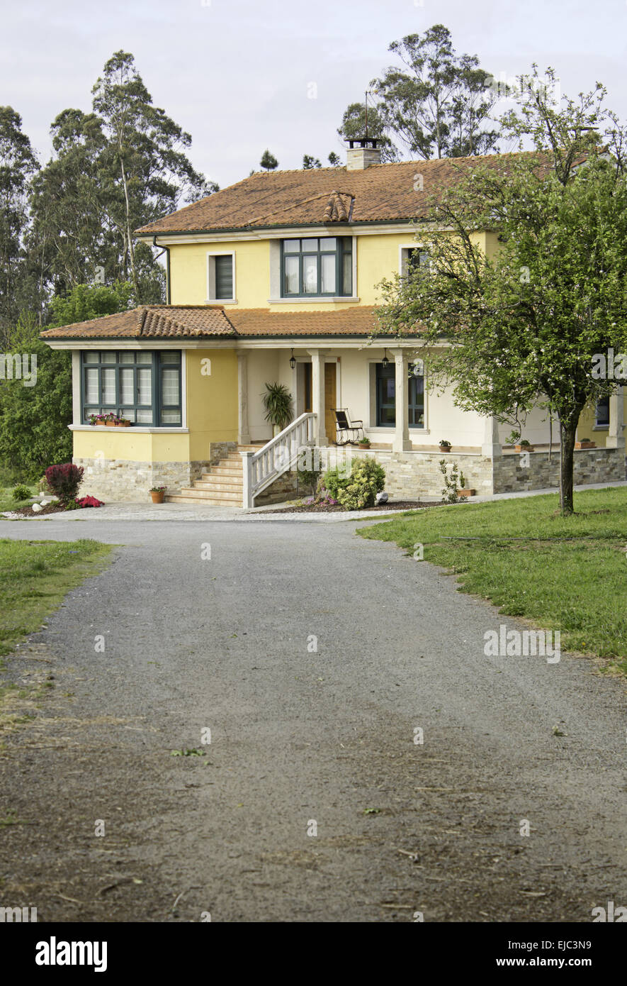 House Design luxury field with stairs, construction and architecture ...