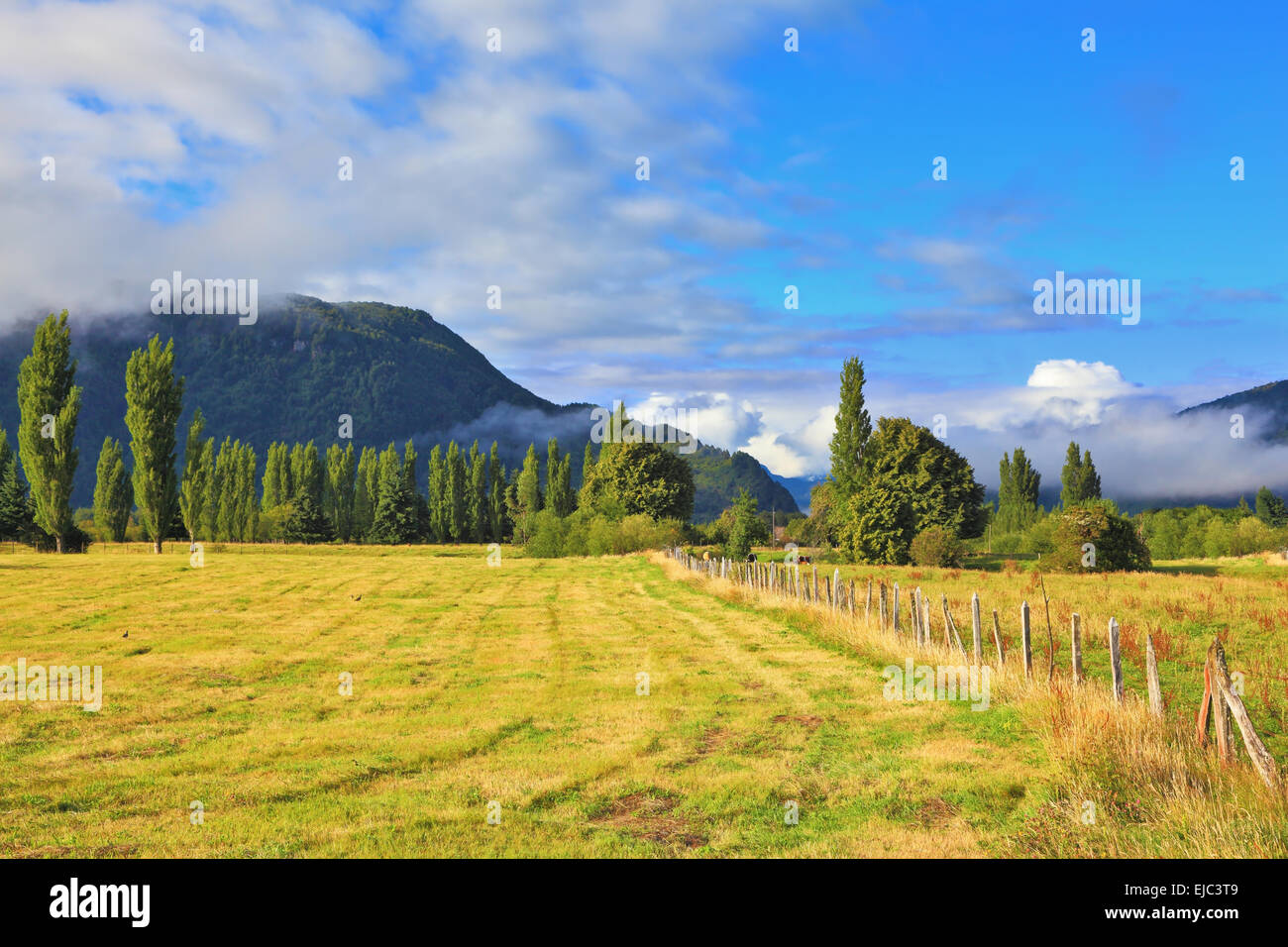 Green field fenced low fence Stock Photo - Alamy