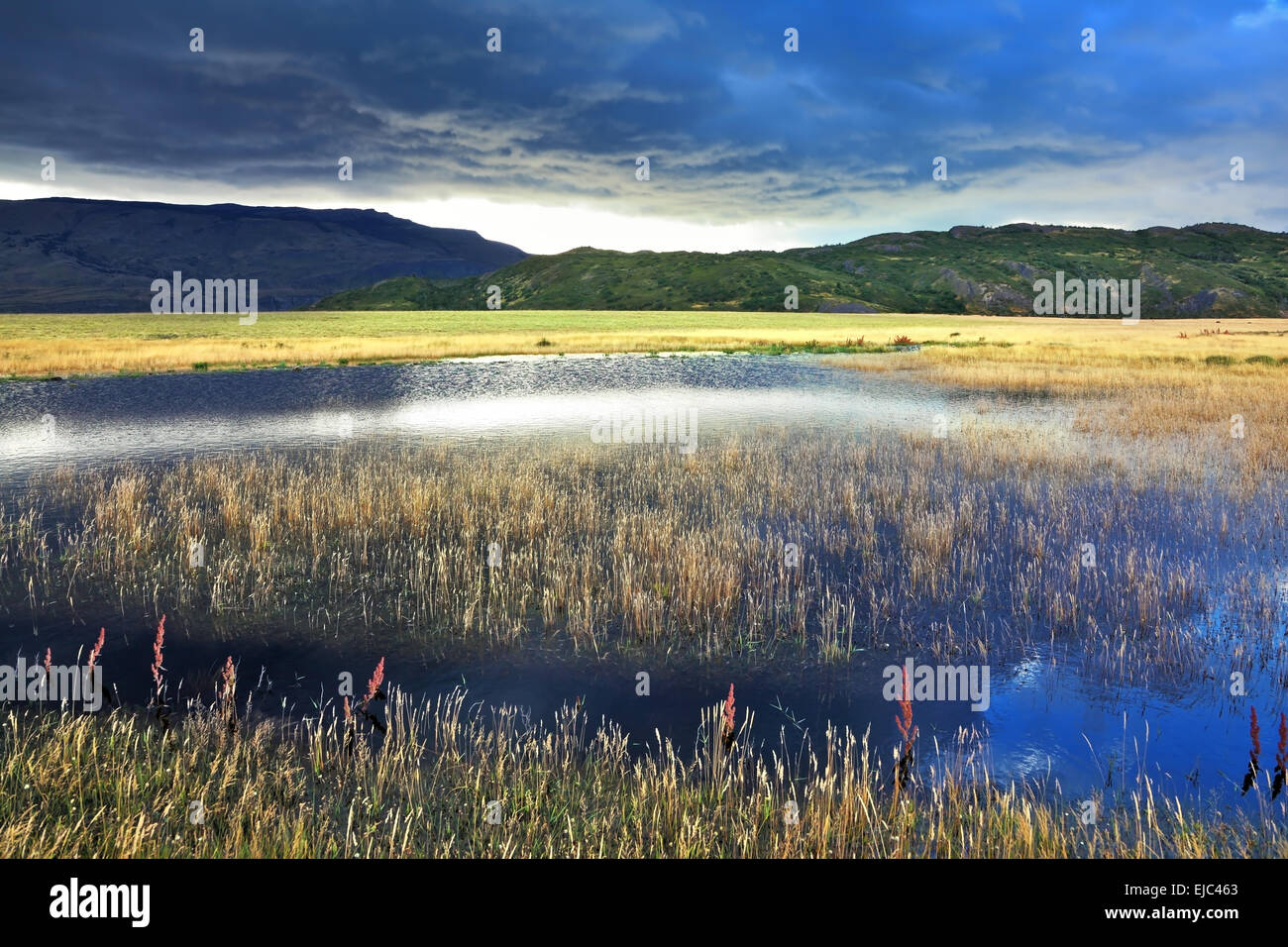 Overgrown valley hi-res stock photography and images - Alamy