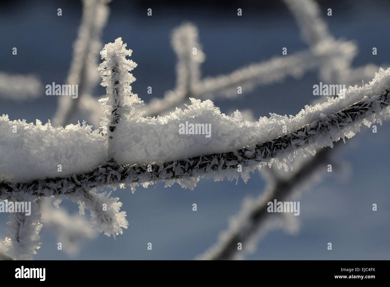 Fot point hi-res stock photography and images - Alamy