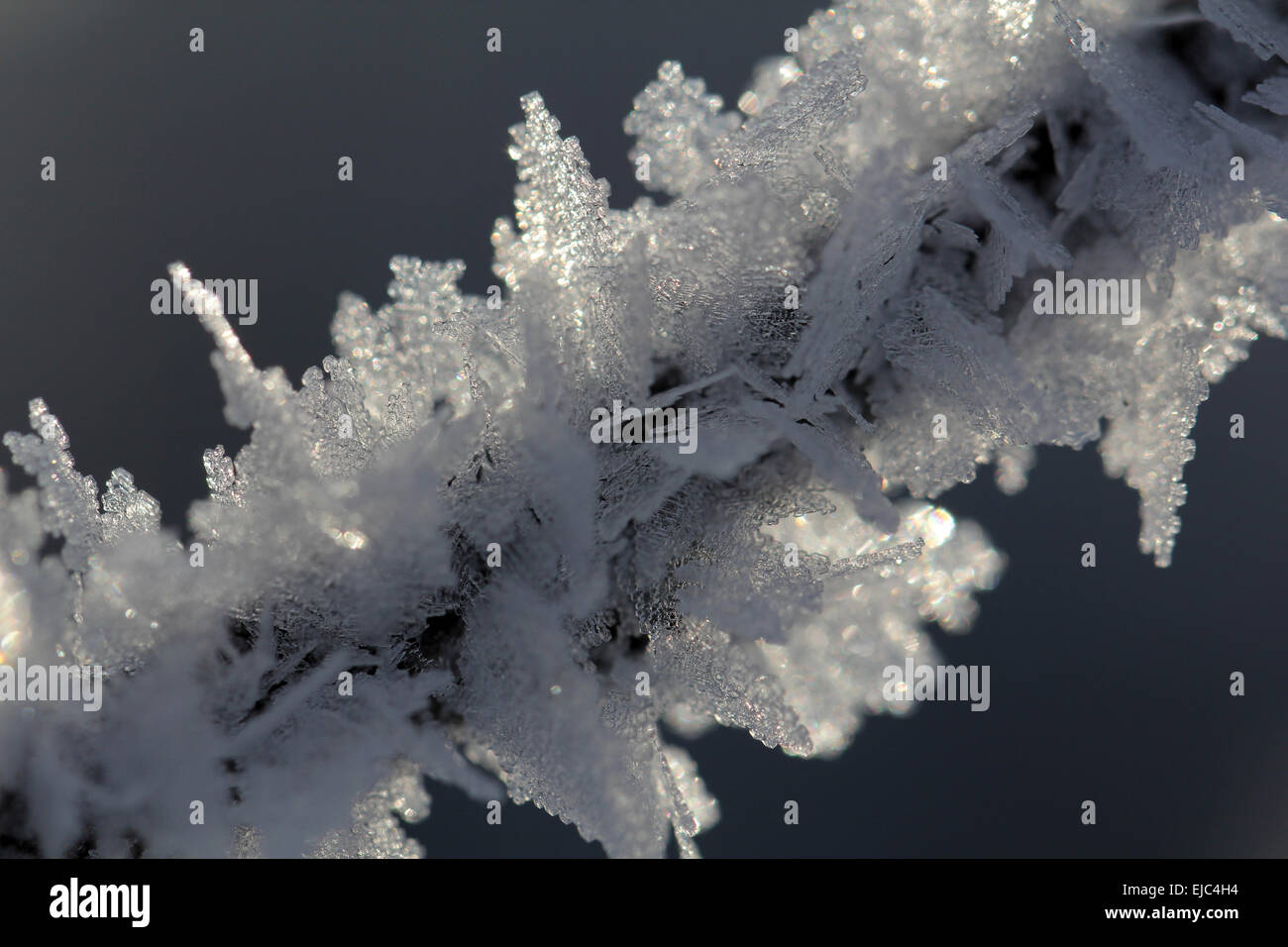 Grau fotos hi-res stock photography and images - Alamy