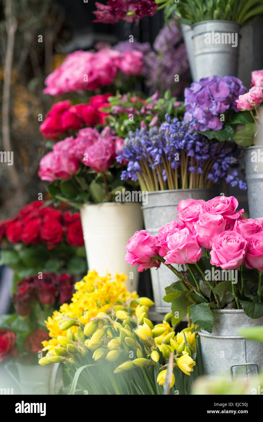 Roses and daffodils hi-res stock photography and images - Alamy