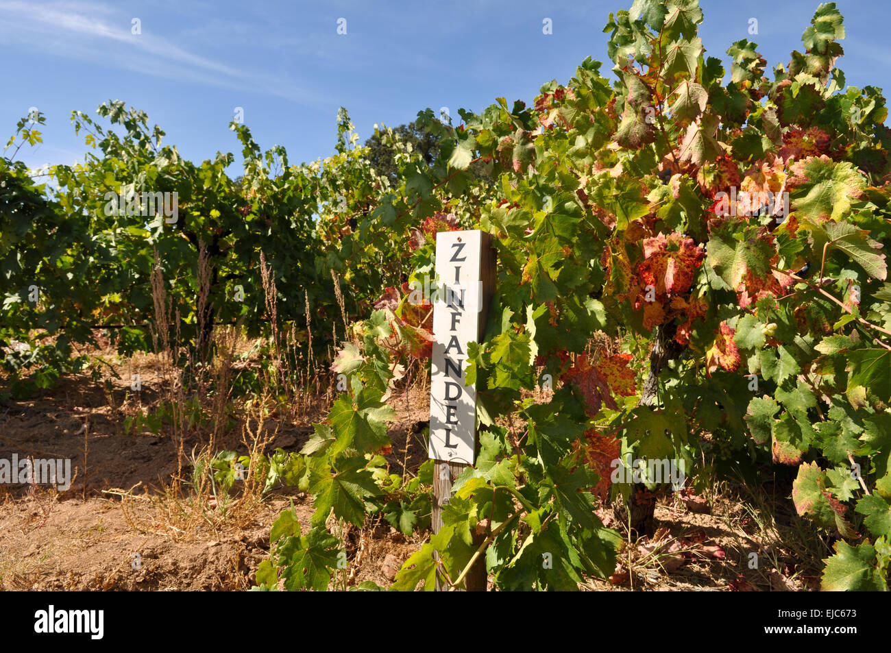 Zinfandel Red Wine Sign Stock Photo - Alamy