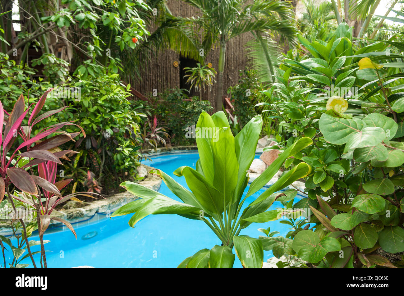 Tiki resort hi-res stock photography and images - Alamy