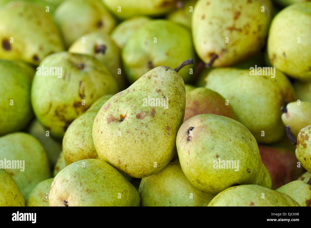 Pears Close Up Stock Photo - Alamy