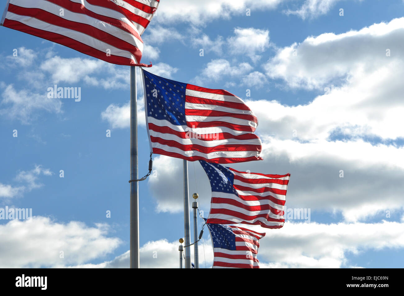 American Flags in the Wind Stock Photo - Alamy