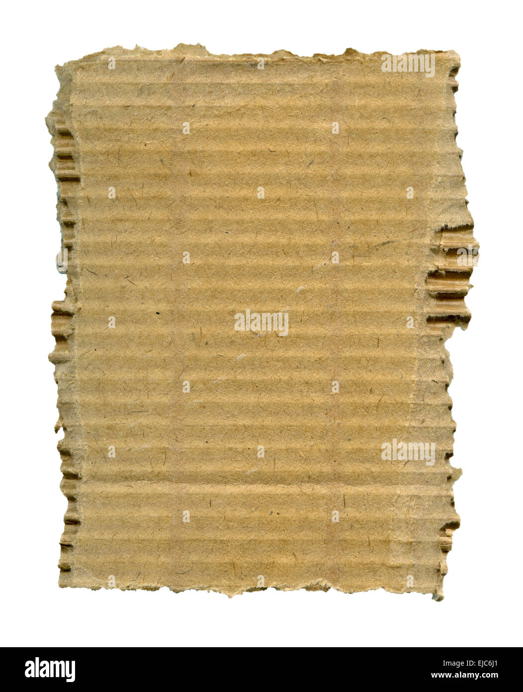 Torn cardboard isolated Stock Photo - Alamy