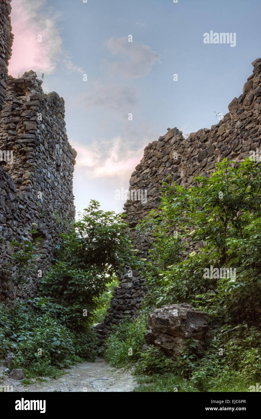 Castle ruins Nevitsky Stock Photo - Alamy