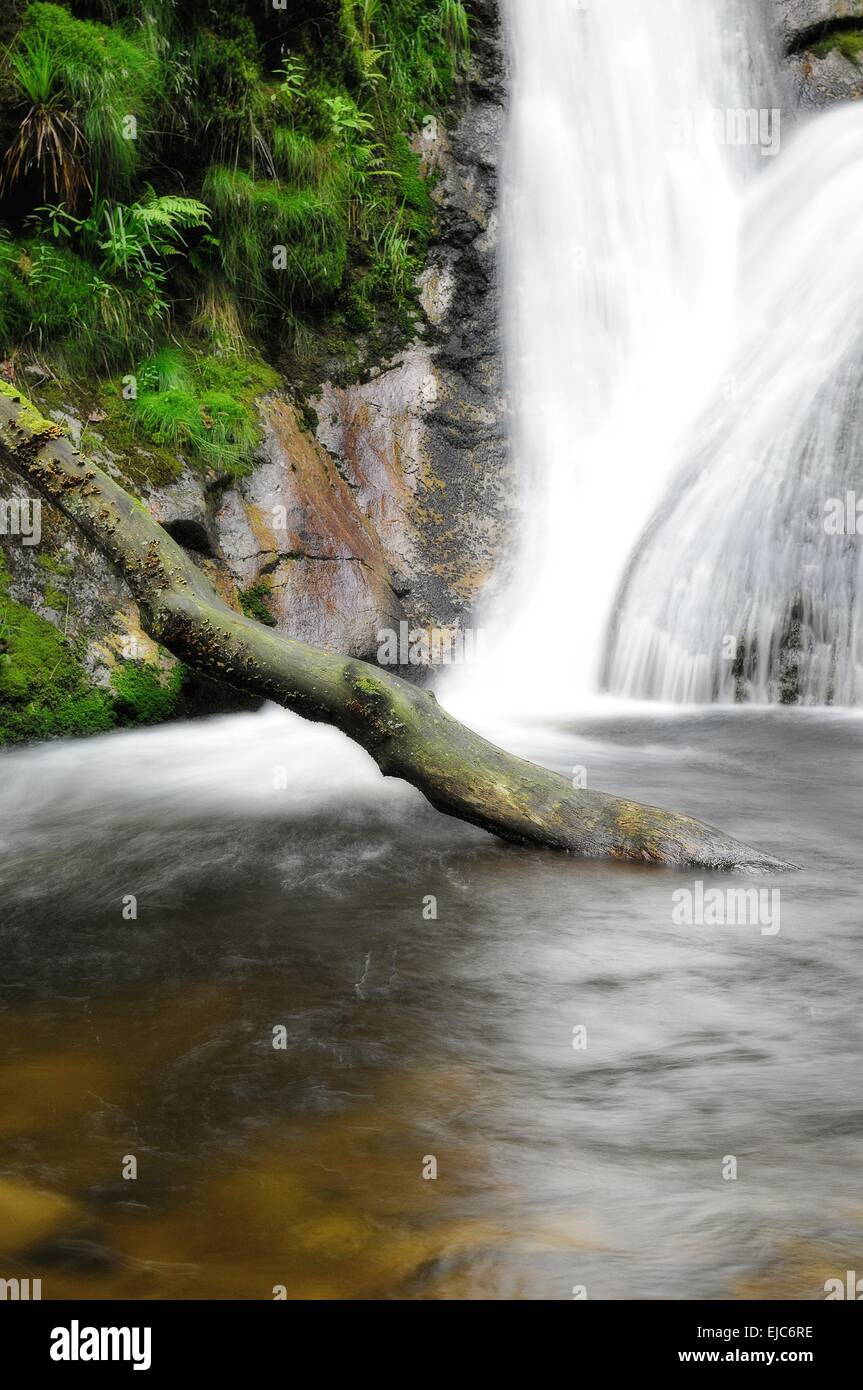 Water and the tree trunk soft Stock Photo - Alamy