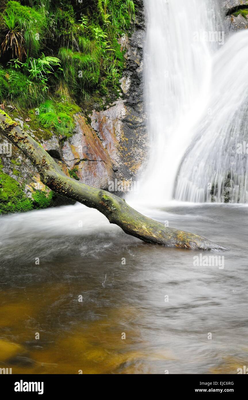Water and the tree trunk Stock Photo - Alamy