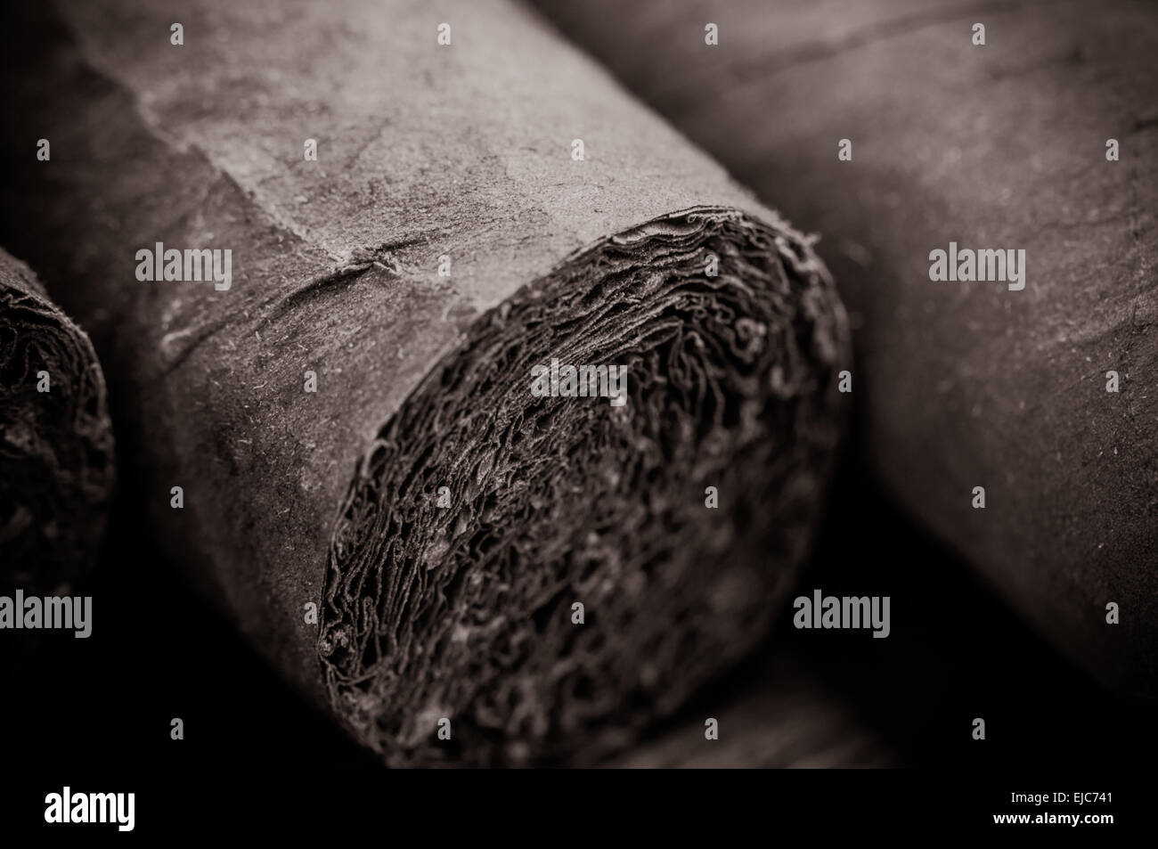 Havana cigar texture hi-res stock photography and images - Alamy