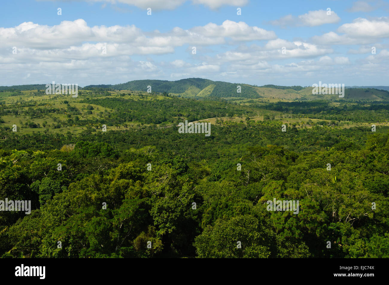 Tropical Rainforest Landscape Stock Photo - Alamy