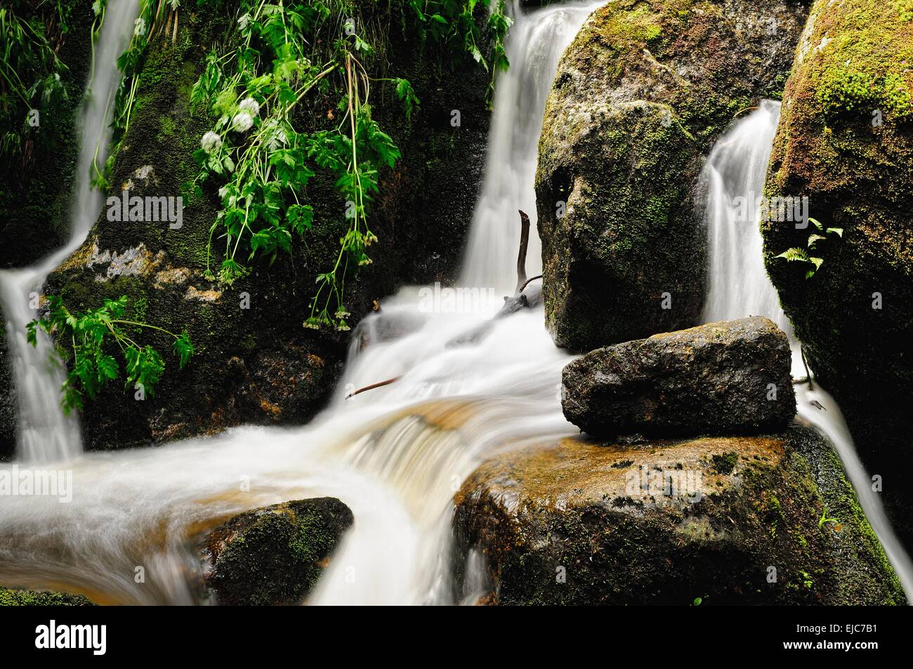 Soft water between the rocks Stock Photo - Alamy