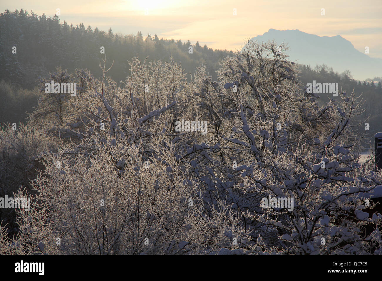 Traunstein mountains hi-res stock photography and images - Alamy