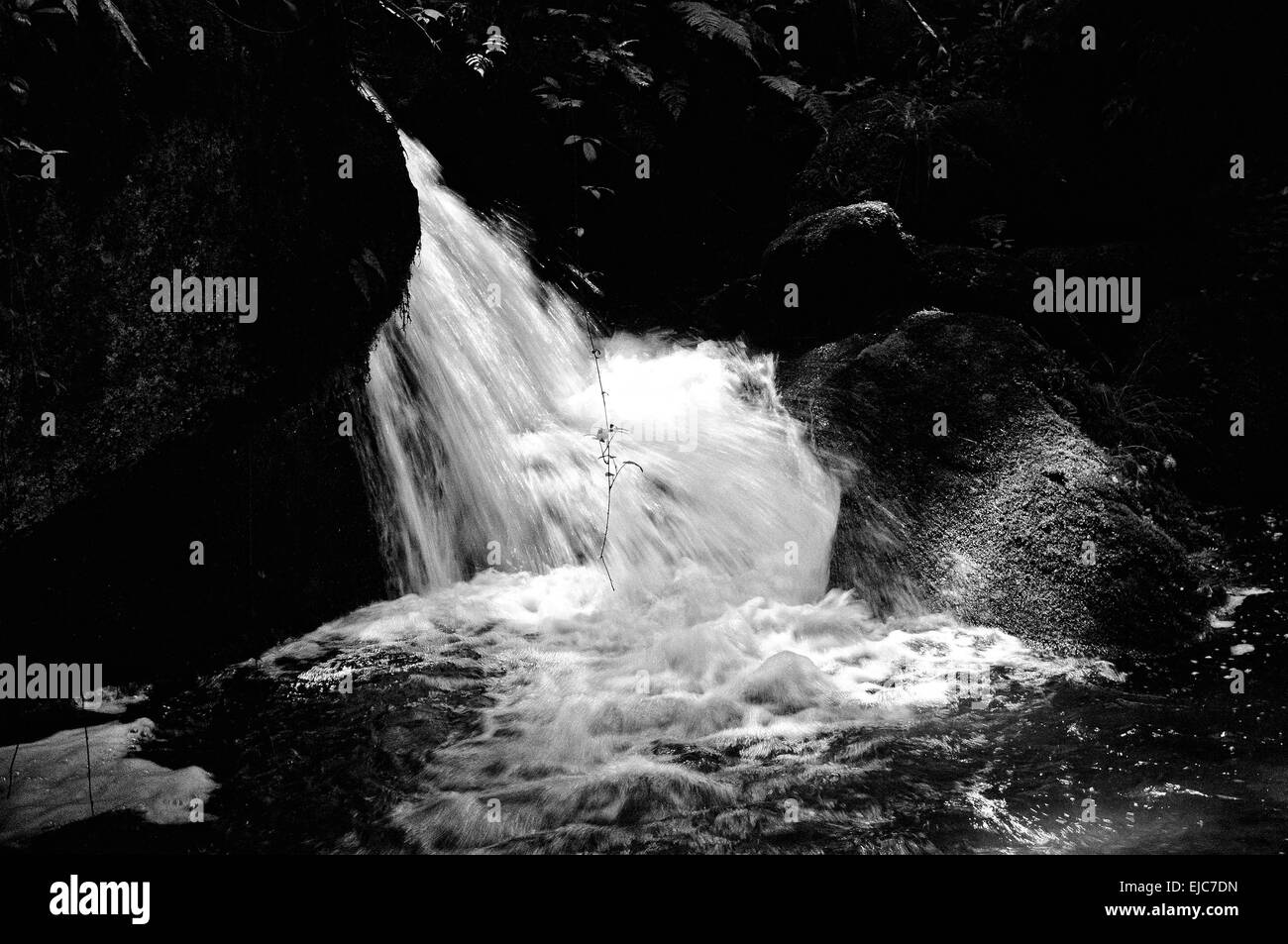 Fall stone wall in Black and White Stock Photos & Images - Alamy