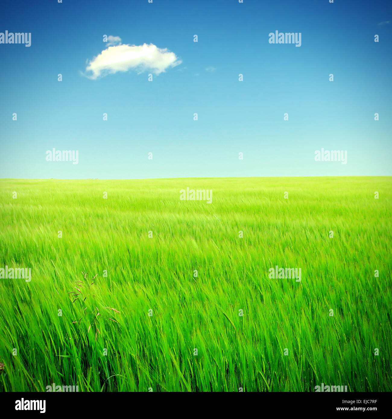 Nature backg hi-res stock photography and images - Alamy