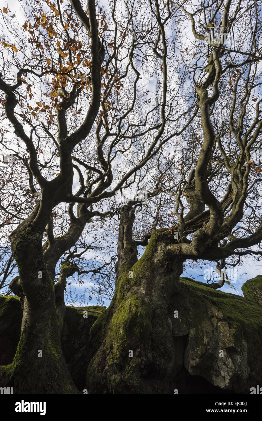 Rhoen mountain range hi-res stock photography and images - Alamy