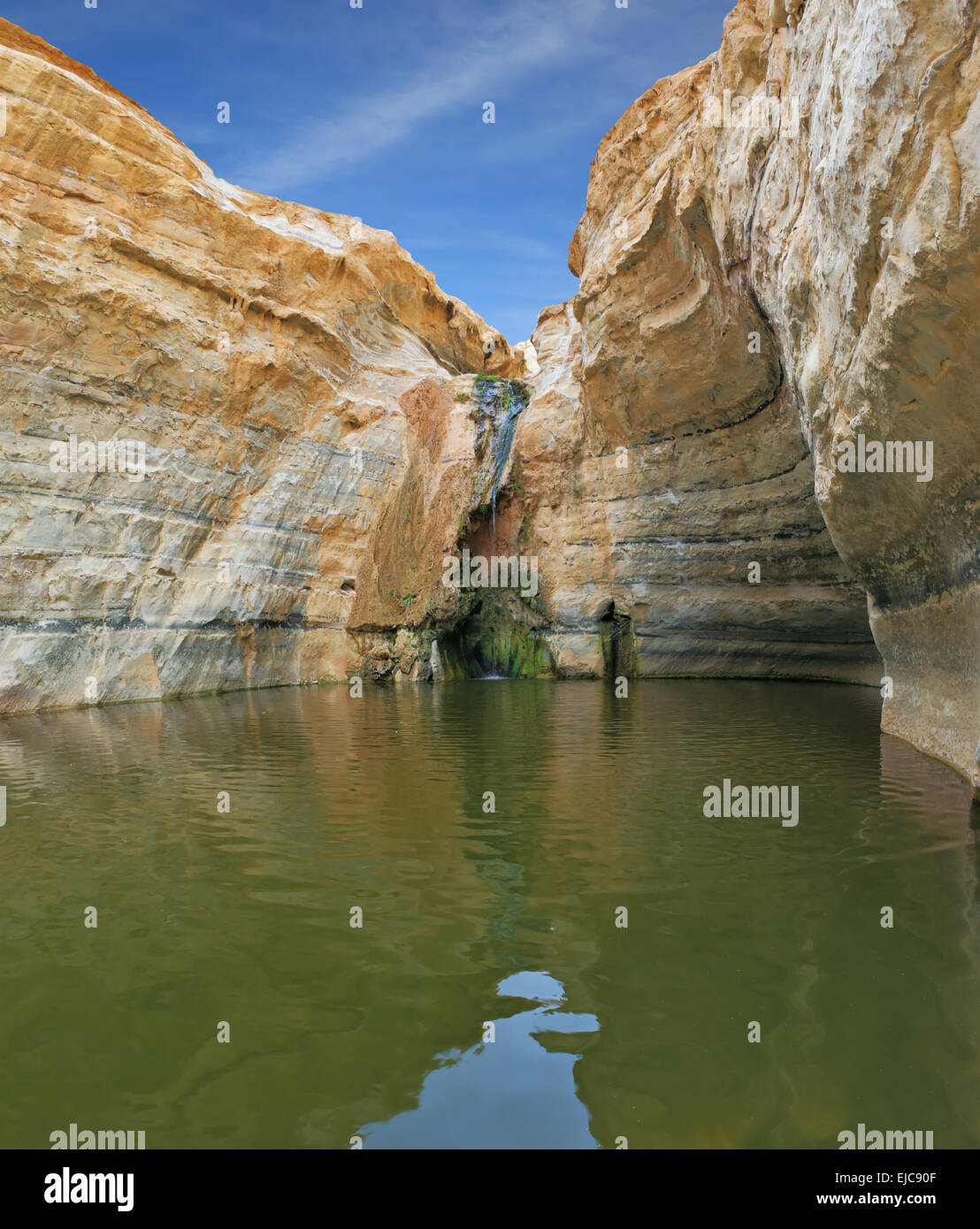Sandstone canyon walls form round bowl Stock Photo - Alamy