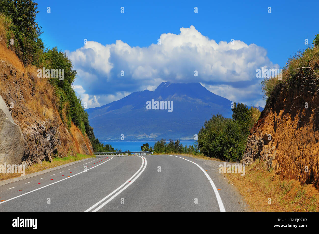 Austral austral hi-res stock photography and images - Alamy