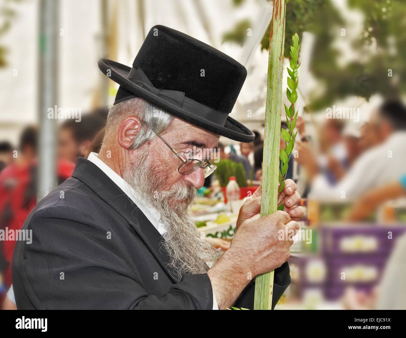 The gray-bearded religious Jew in black hat Stock Photo - Alamy