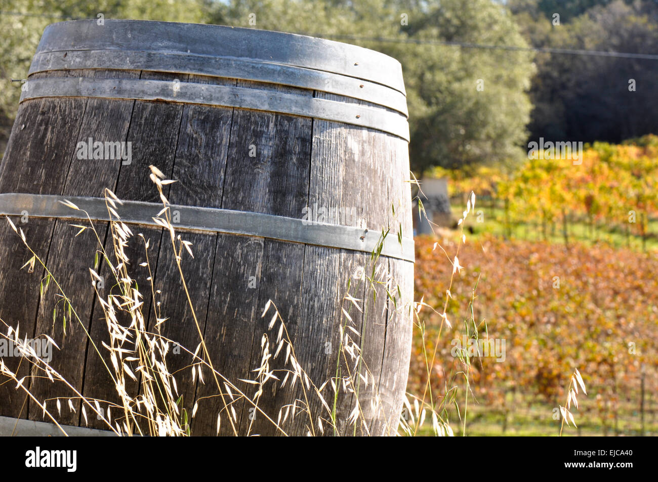 Fall into barrel hi-res stock photography and images - Alamy