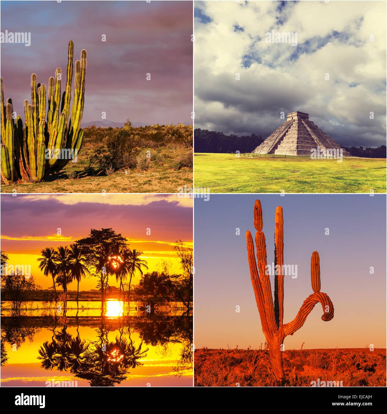 Beach scene collage hi-res stock photography and images - Alamy