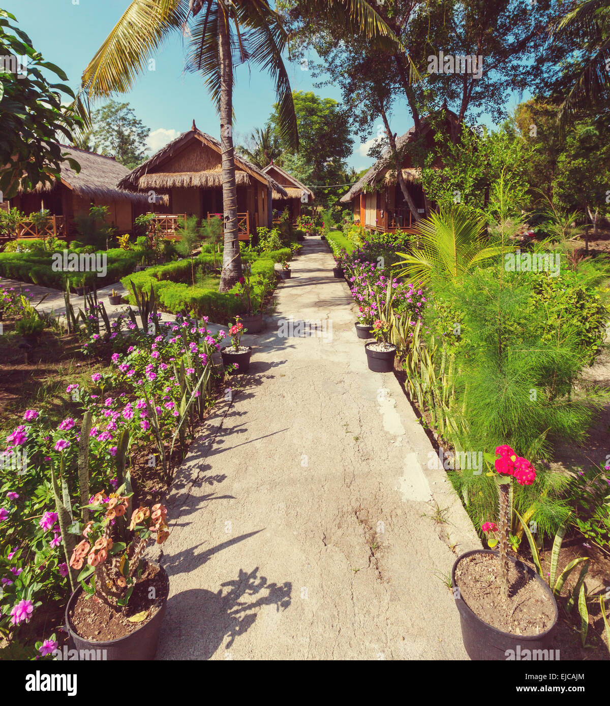 Leaf huts hi-res stock photography and images - Alamy