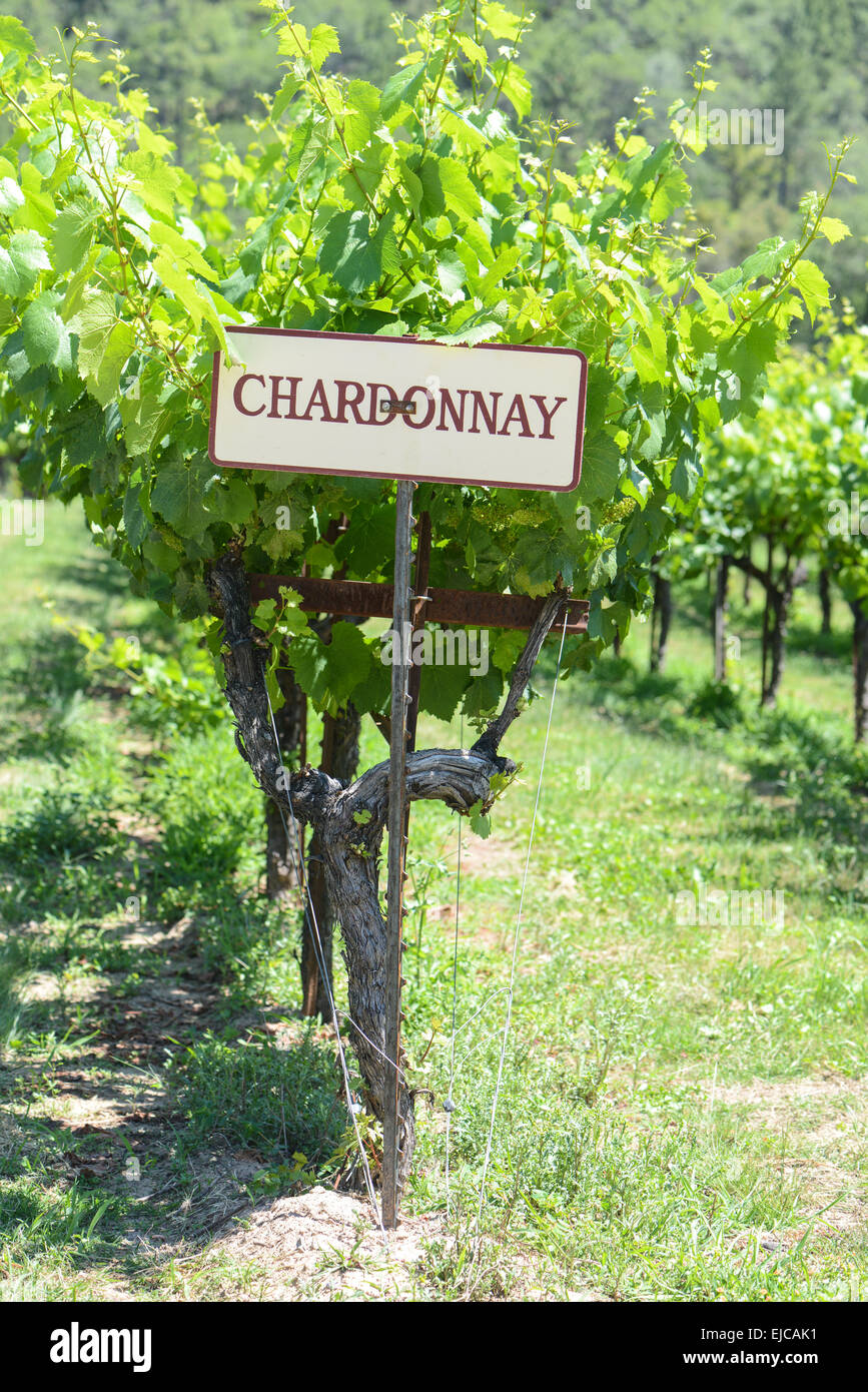 Grapes sign hi-res stock photography and images - Alamy