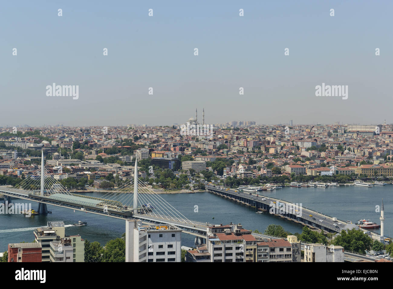 Marine life turkey hi-res stock photography and images - Alamy