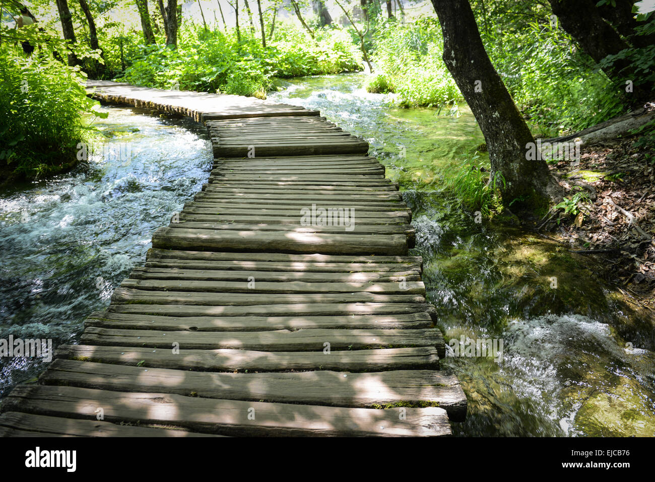 Wooden pathway on pond hi-res stock photography and images - Alamy