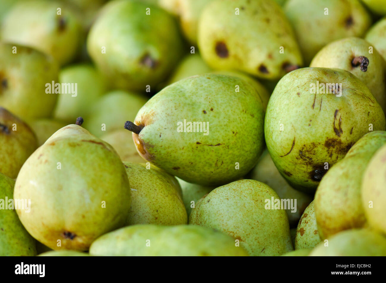 Pears skin closeup hi-res stock photography and images - Alamy