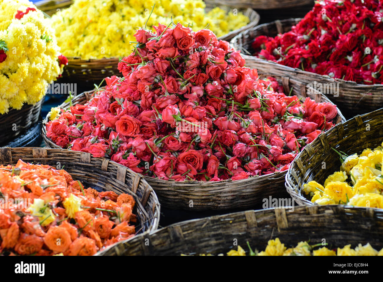 Roses for Sale at a Indian Flower Market Stock Photo - Alamy