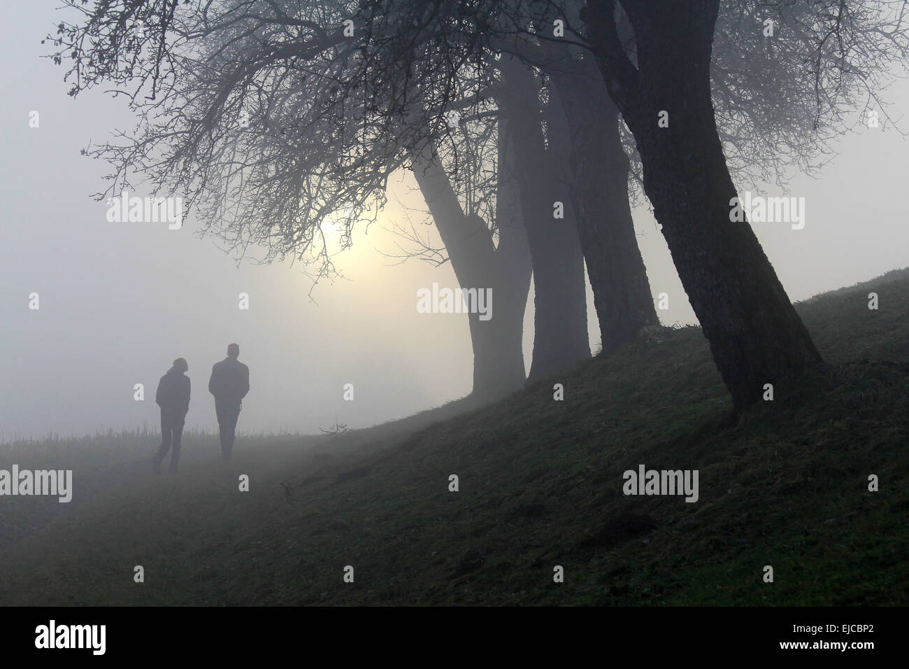 Walk in the Fog Stock Photo - Alamy