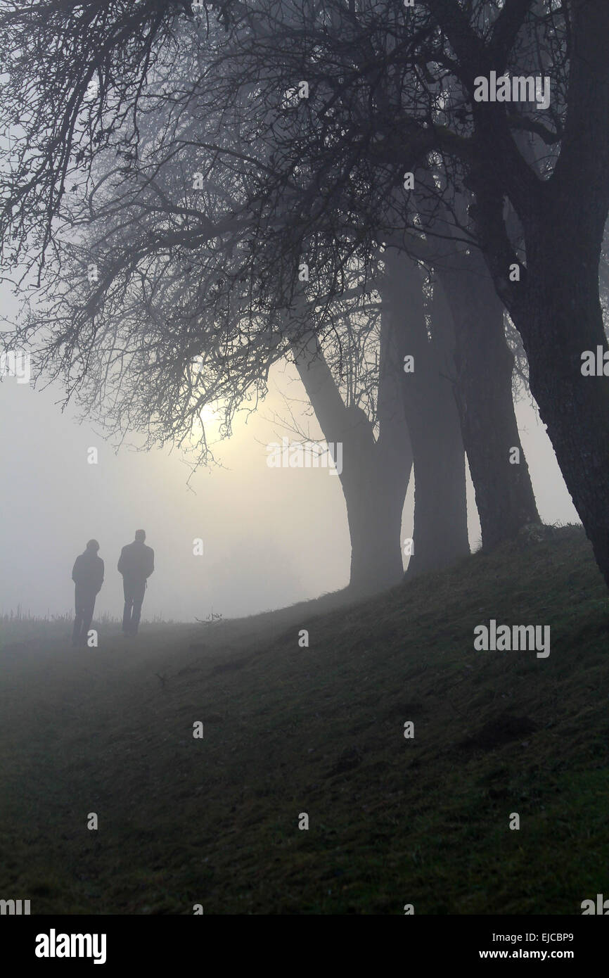 Mystic walk hi-res stock photography and images - Alamy