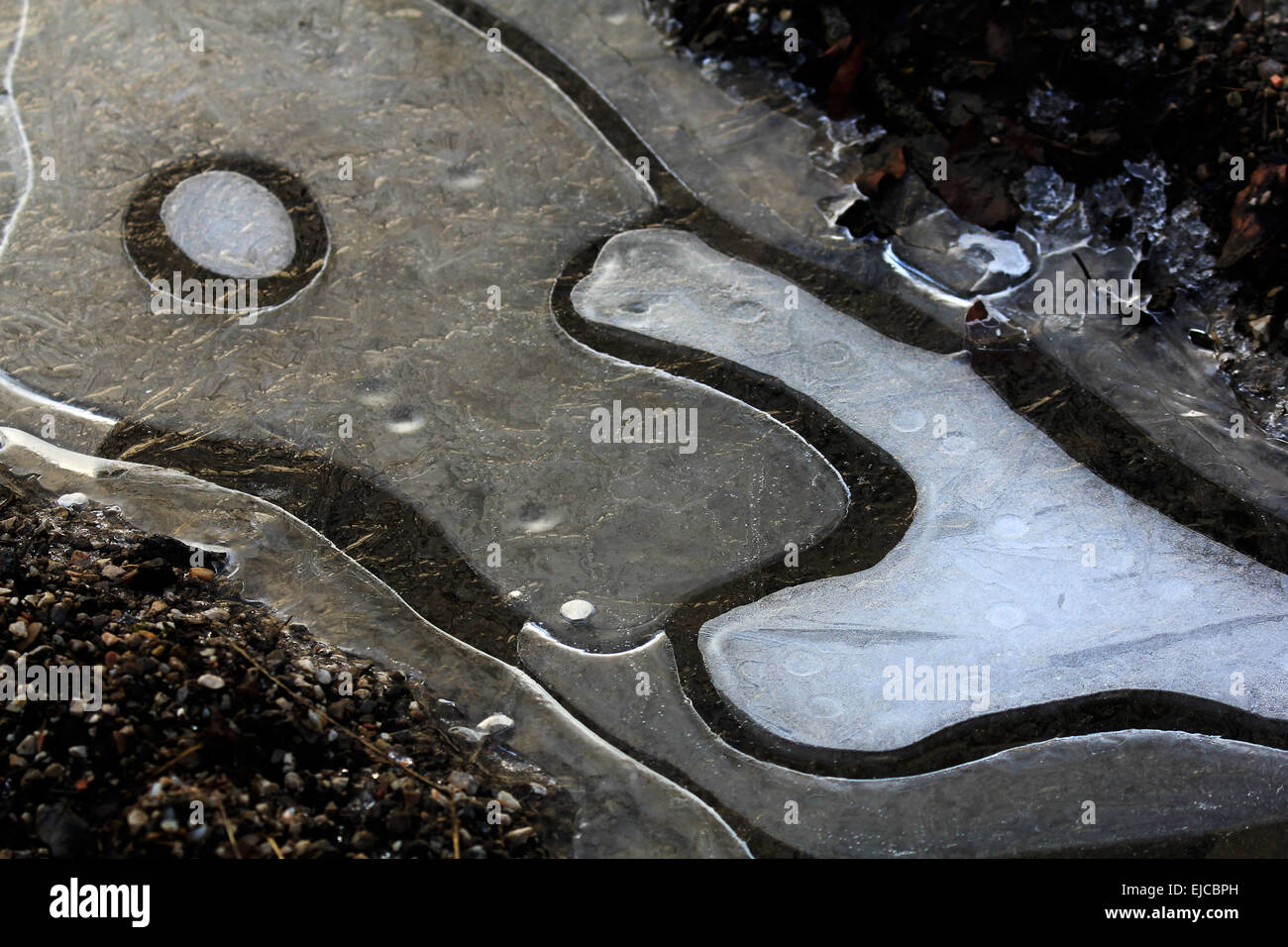 Freezing puddle hi-res stock photography and images - Alamy