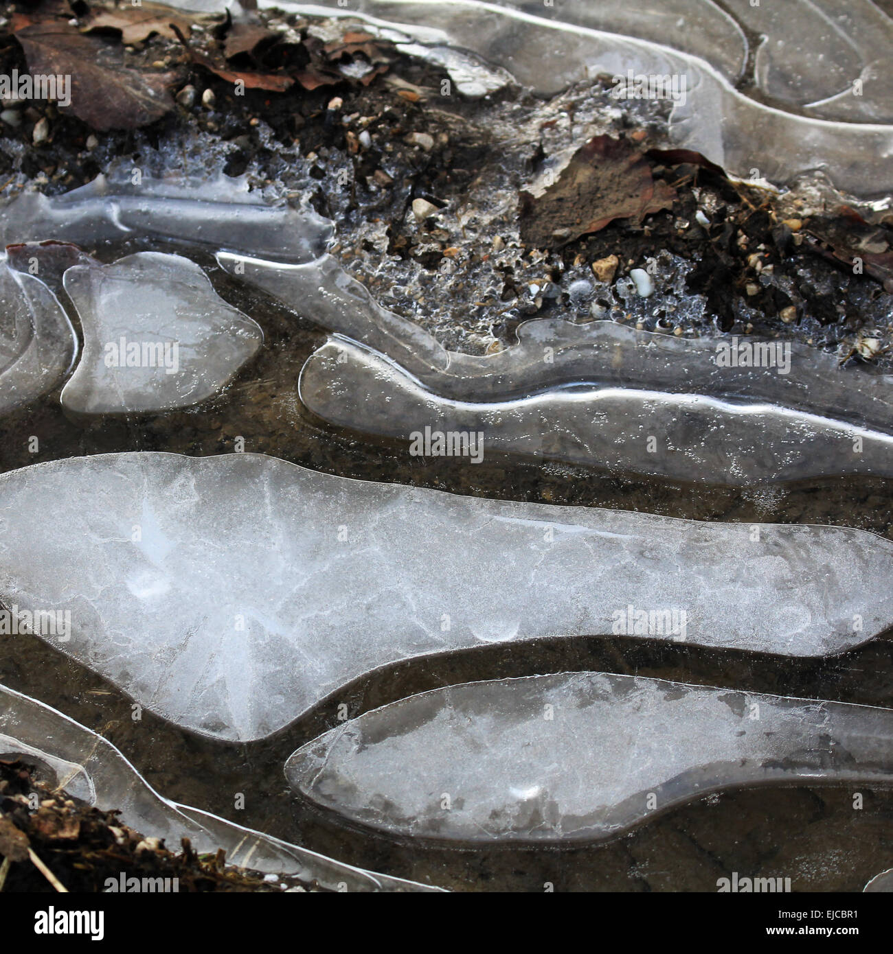 Puddle photo hi-res stock photography and images - Alamy