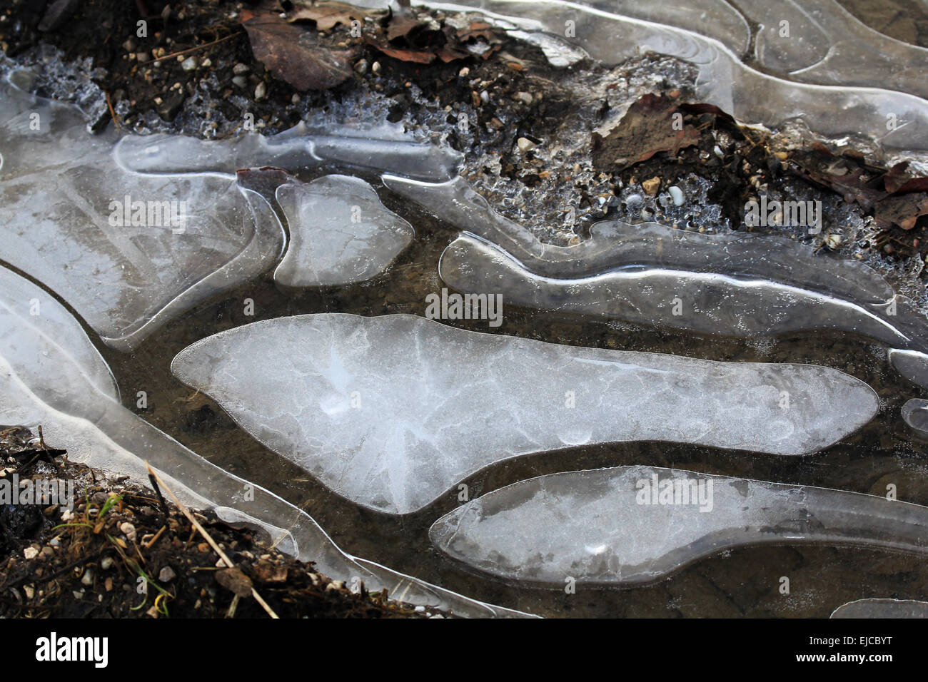 Puddle of icy hi-res stock photography and images - Alamy