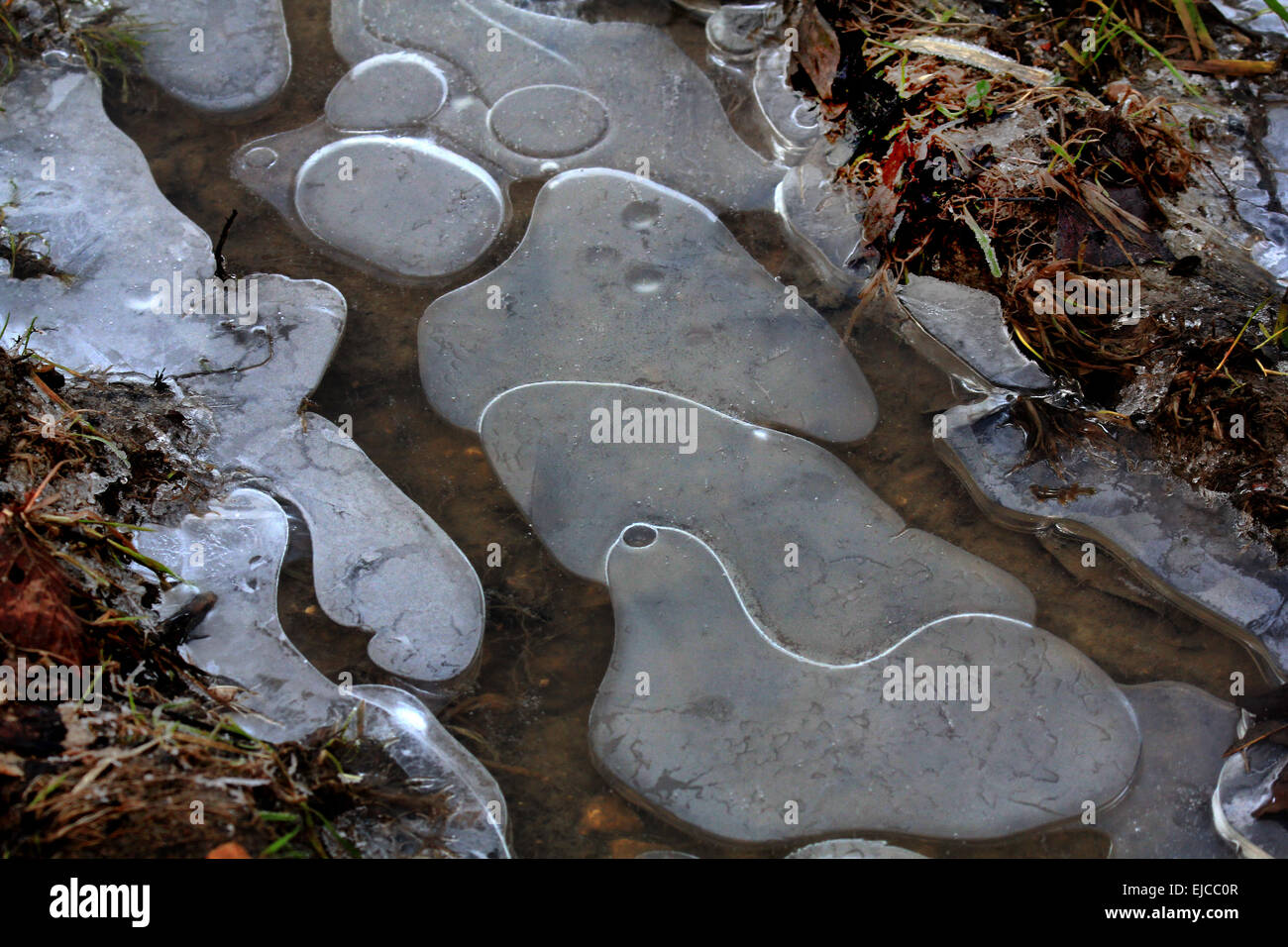 Frozen photos hi-res stock photography and images - Alamy