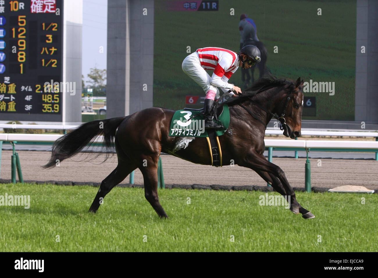 Aichi, Japan. 21st Mar, 2015. Active Minoru (Kota Fujioka) Horse Racing ...