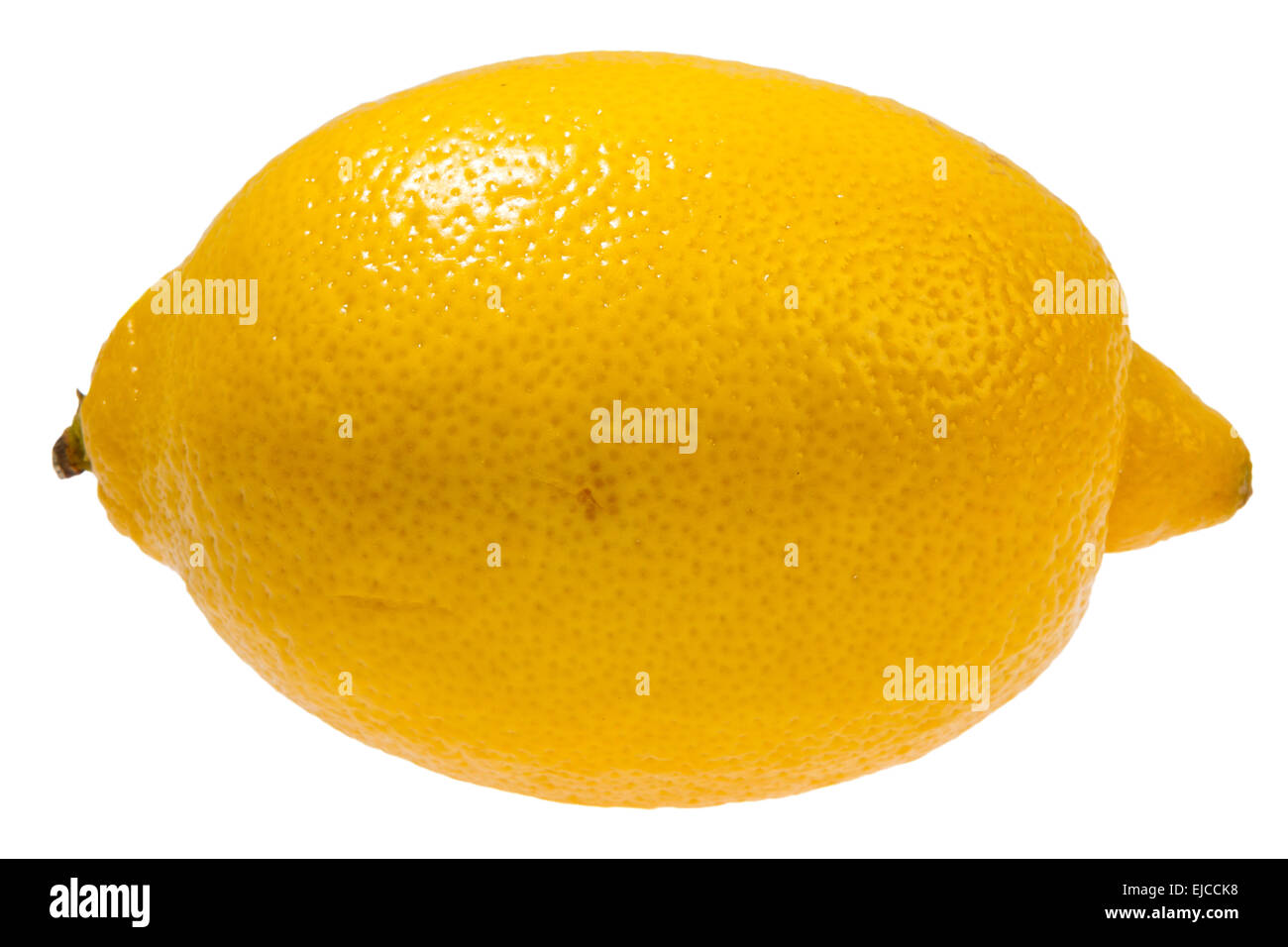 Lemon circle hi-res stock photography and images - Alamy