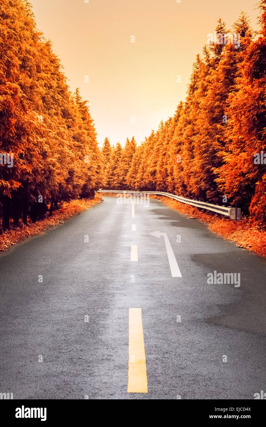 Asphalt pathway hi-res stock photography and images - Alamy