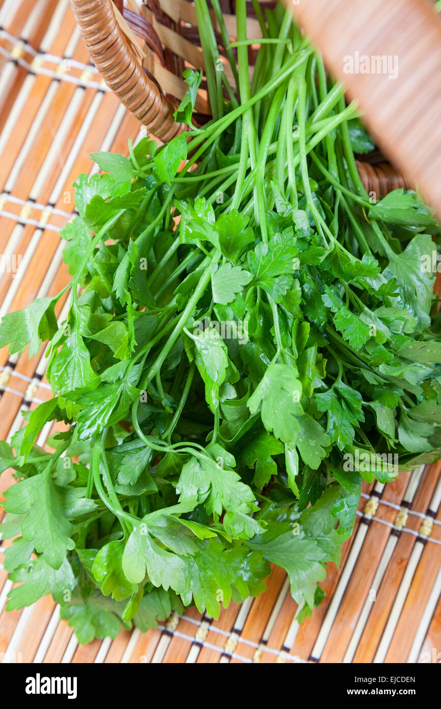 Parsley Meaning In Urdu