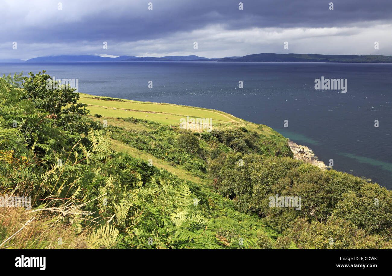 Grazing on the Atlantic Ocean Stock Photo - Alamy