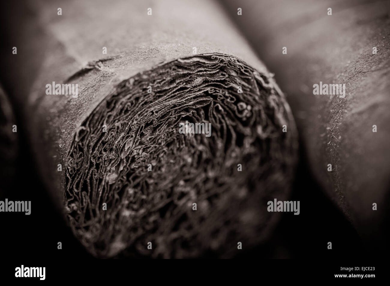 Havana cigars texture hi-res stock photography and images - Alamy