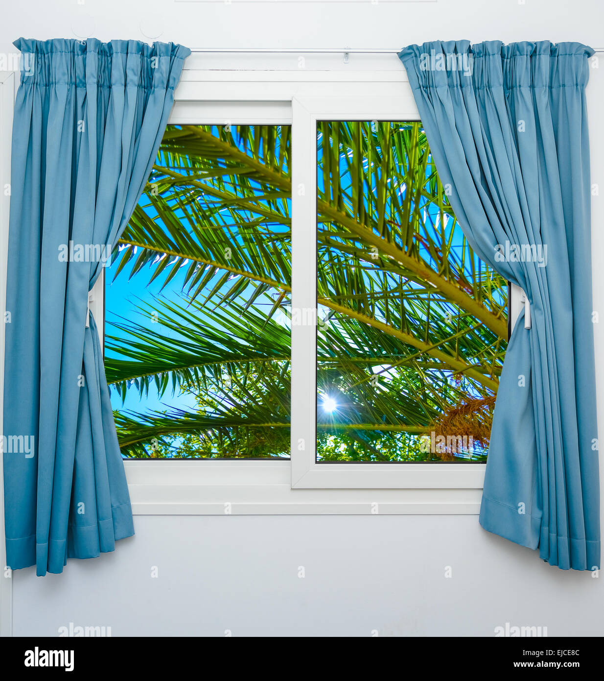 window view of the sea palm Stock Photo - Alamy