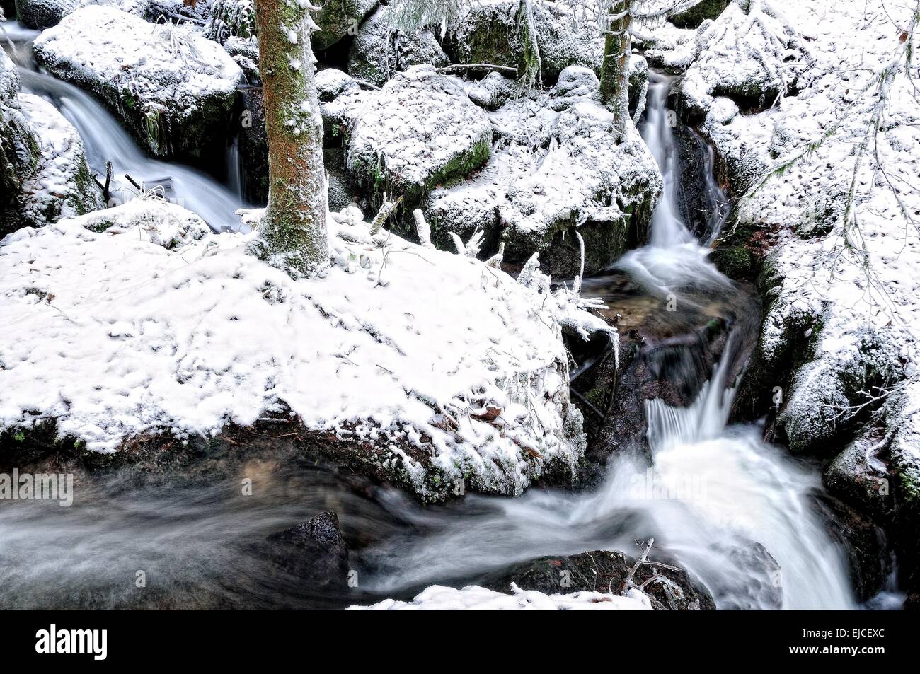 Winter snow and water to survive Stock Photo - Alamy