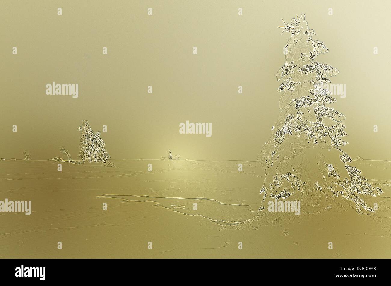 Golden snow landscape Stock Photo - Alamy