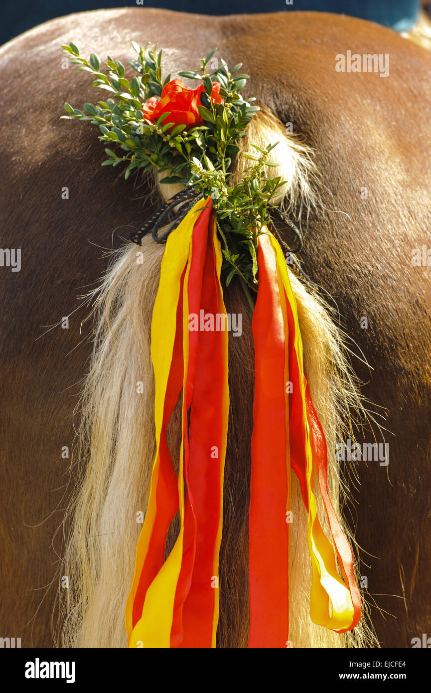 beautiful decorated bavarian horse tail Stock Photo - Alamy